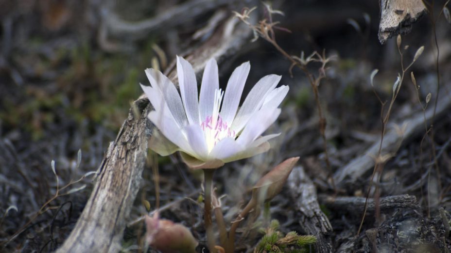 Ask High-Value Questions to Accelerate Performance Improvement ...