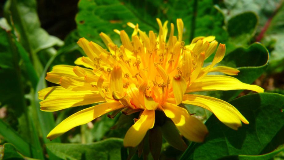 Benefits and Best Practices for Autism@Work Programs - Training Industry