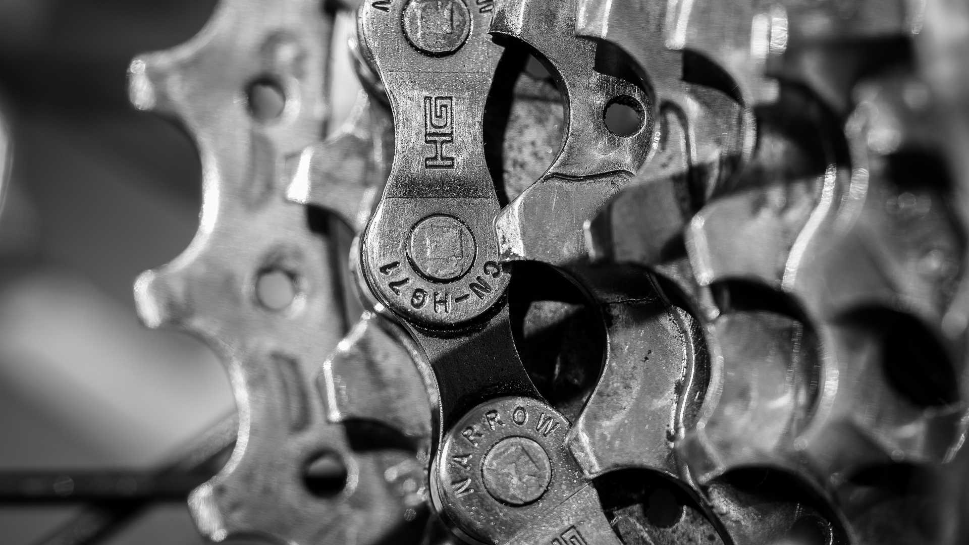 Creating Sustainable Advantage Through Program Design and ...