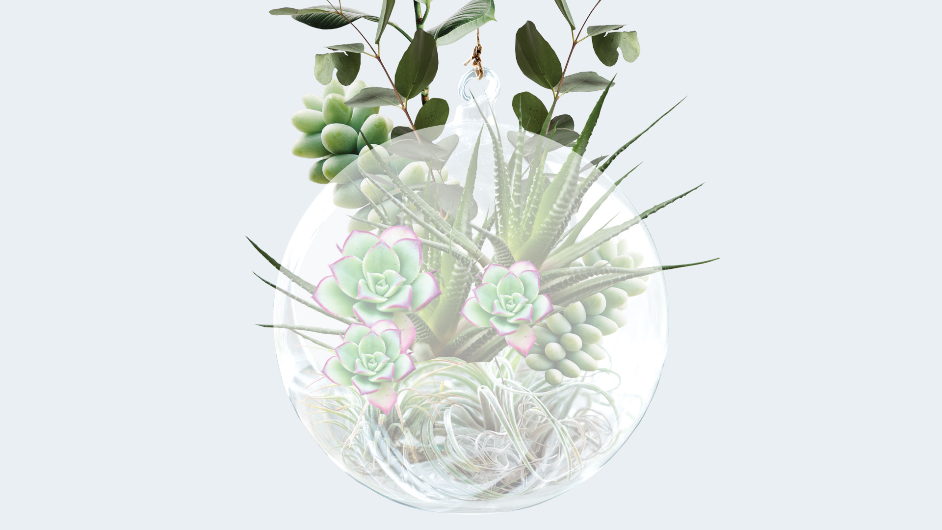 Organic Learning: Going Beyond the L&D Bubble - Training Industry