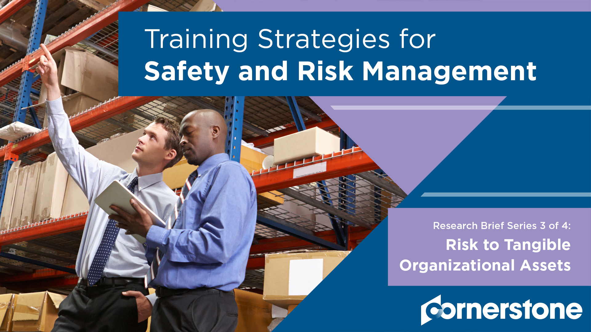 Strategies for Safety and Risk Management Training - Risk to Tangible ...