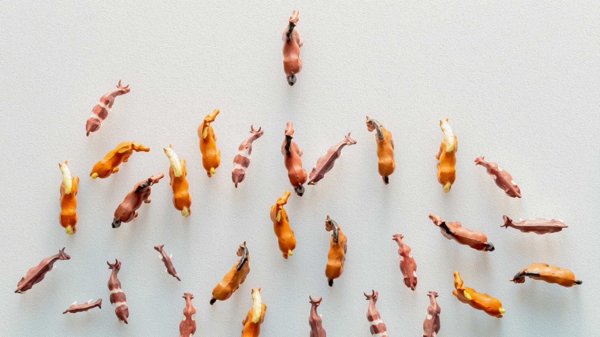 Followership: An Essential Component of Engagement and an Antidote for ...