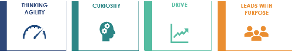 A Guide to Identifying and Developing High-Potential Talent