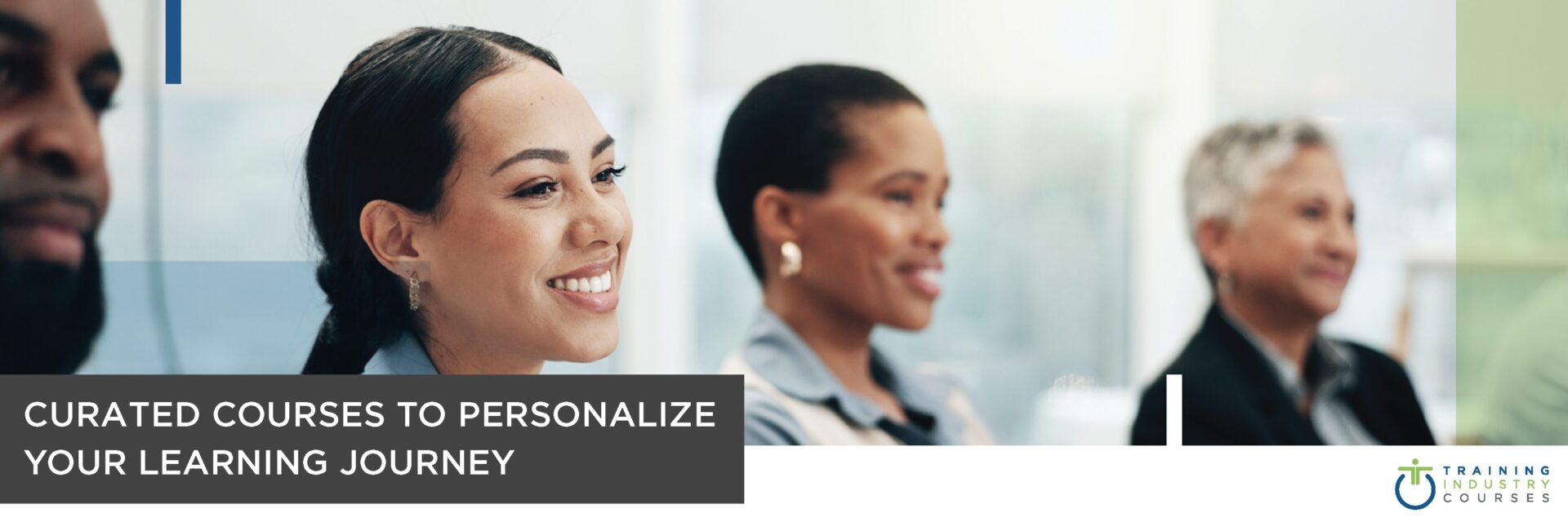 Curated Learning Journeys for Training Professionals